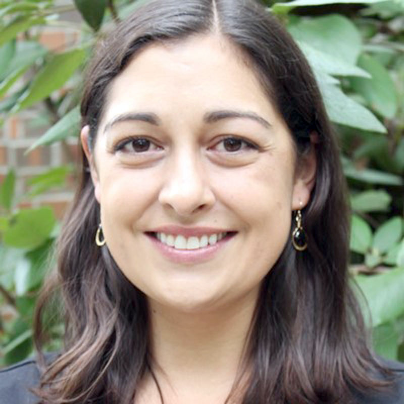 MSU Extension’s Heck to speak to four UP beekeeping groups | News ...